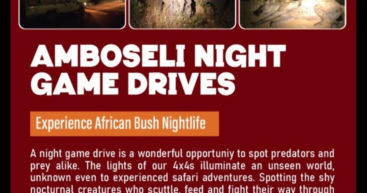 Amboseli: Night Game Drive with Sundowner Experience. AW | GetYourGuide