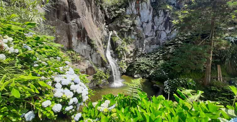 The BEST Azores Jungle tours 2023 - FREE Cancellation | GetYourGuide