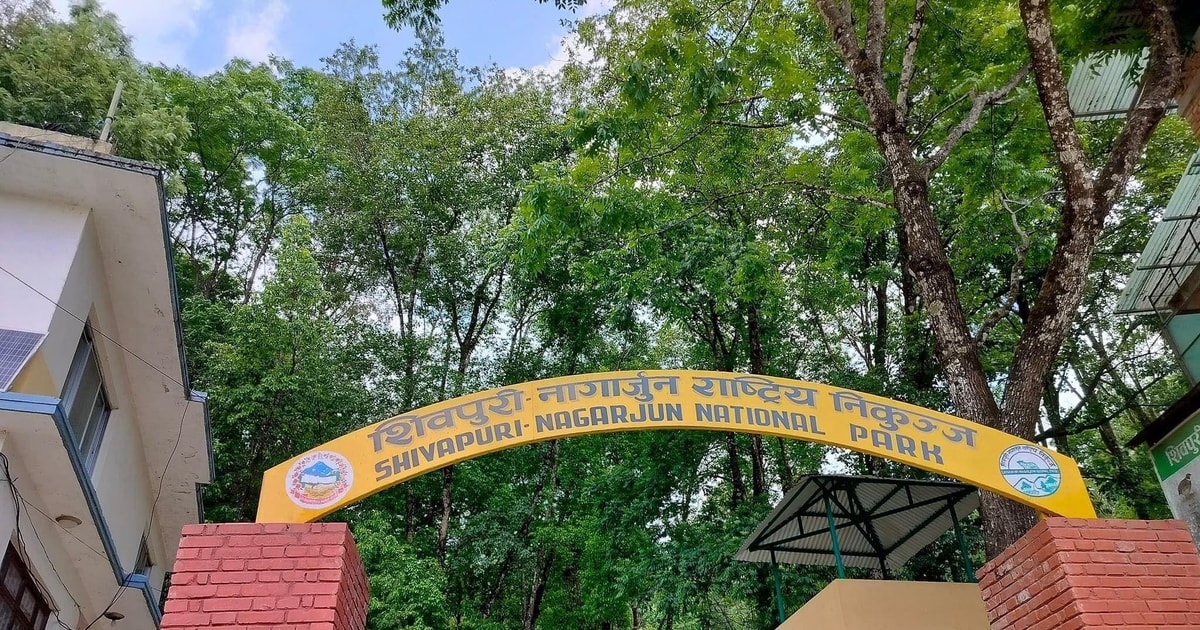 Day Hike to Shivapuri National Park From Kathmandu | GetYourGuide