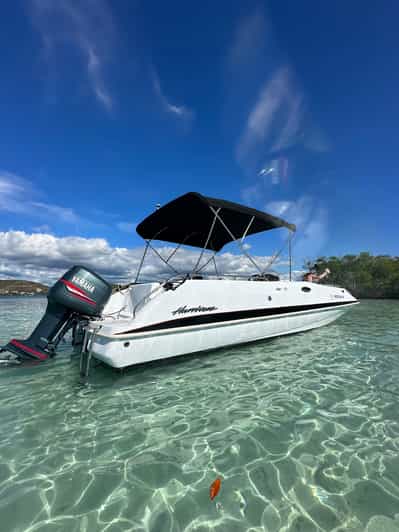 La Parguera: Half day Private Boat tour 4 hours | GetYourGuide