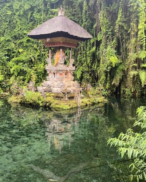 Ubud : Green Luminous Tour | GetYourGuide