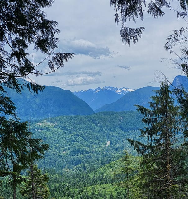 Seattle, Washington: Hike the Gorgeous Trails in Washington | GetYourGuide