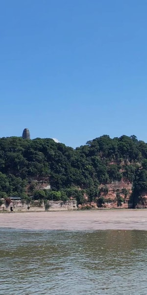 Leshan Grand Buddha Scenic Area and Panda Park Day Tour | GetYourGuide