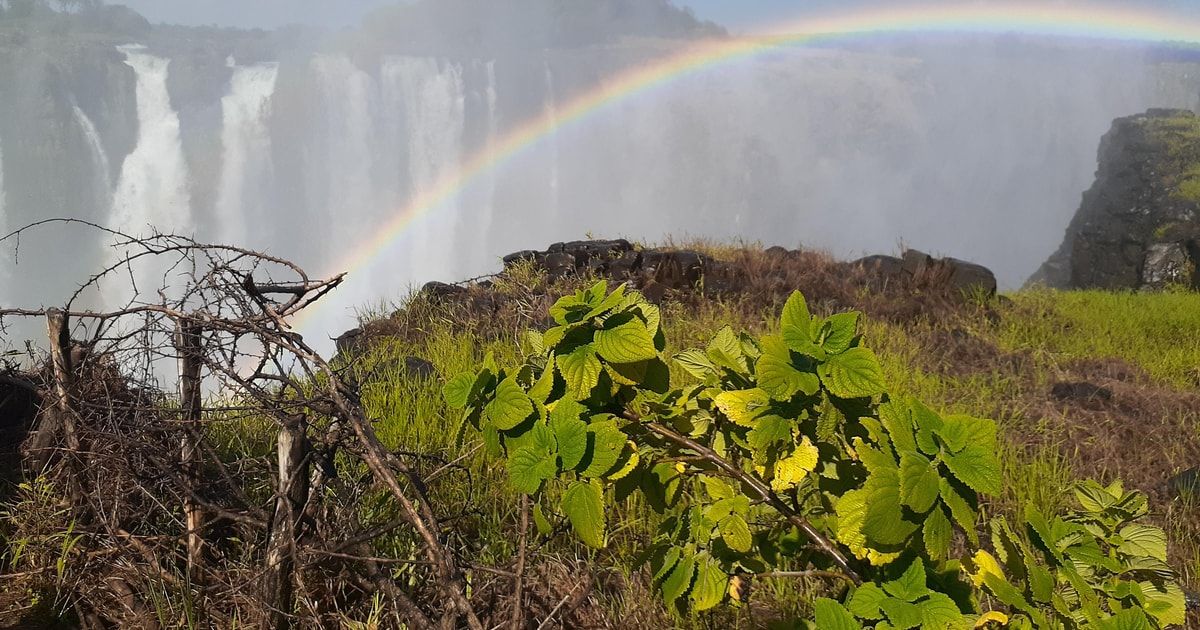 Victoria Falls guidet tur + middagskrydstogt | GetYourGuide