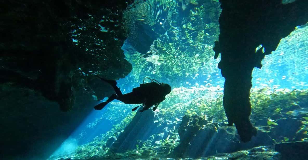 Cancun 2 Cenote dyk: The Pit + Nicte Ha - Certifierade dykare ...
