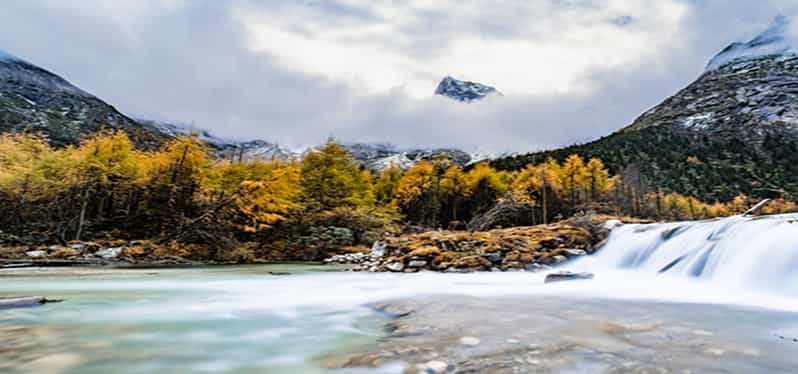 Bipenggou & Dujiangyan Panda Valley 2 Days Private Tour | GetYourGuide