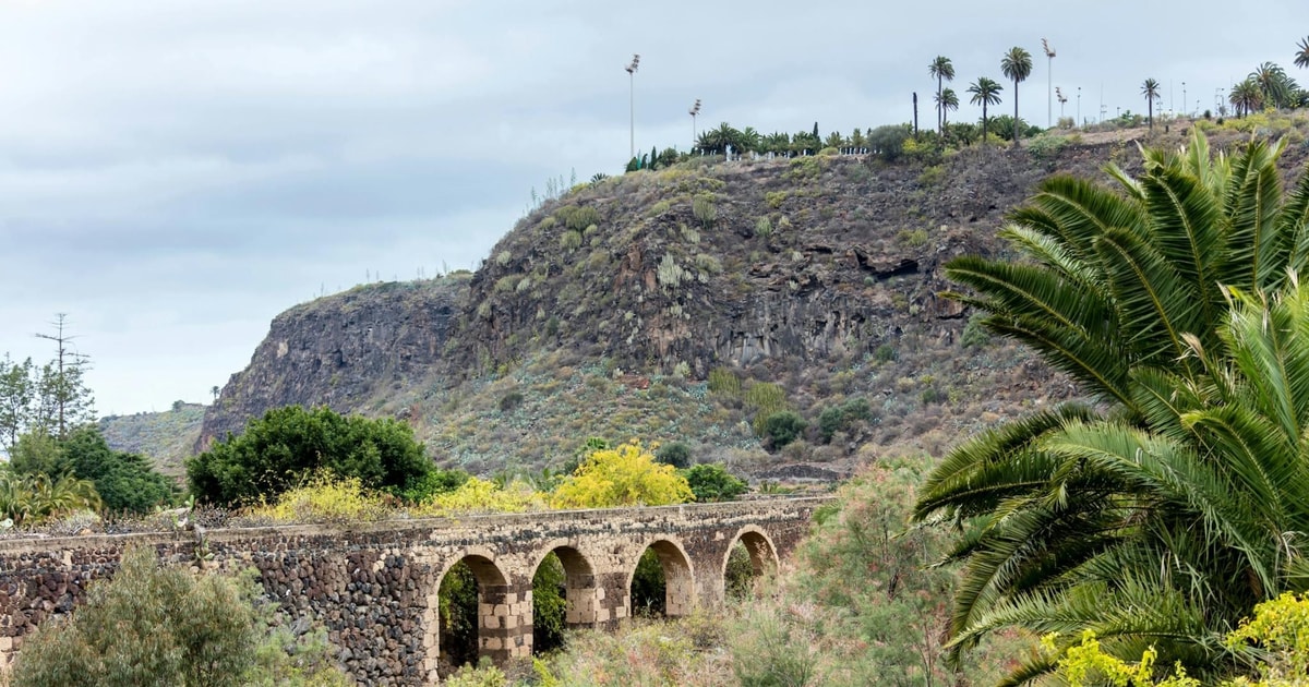 Northern Gran Canaria tour with botanical garden visit | GetYourGuide