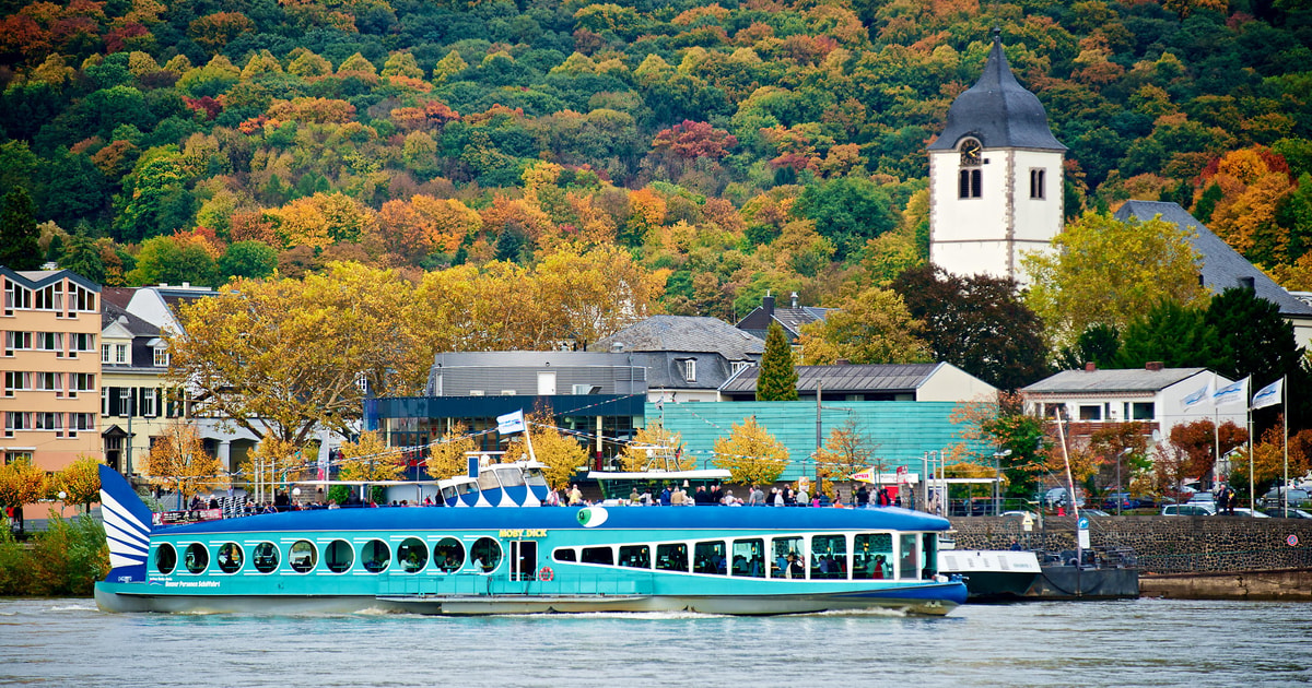 Panorama tour between Bonn and Königswinter | GetYourGuide