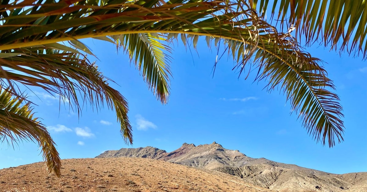 Mi montaña - La montaña sagrada de El Cardón | GetYourGuide