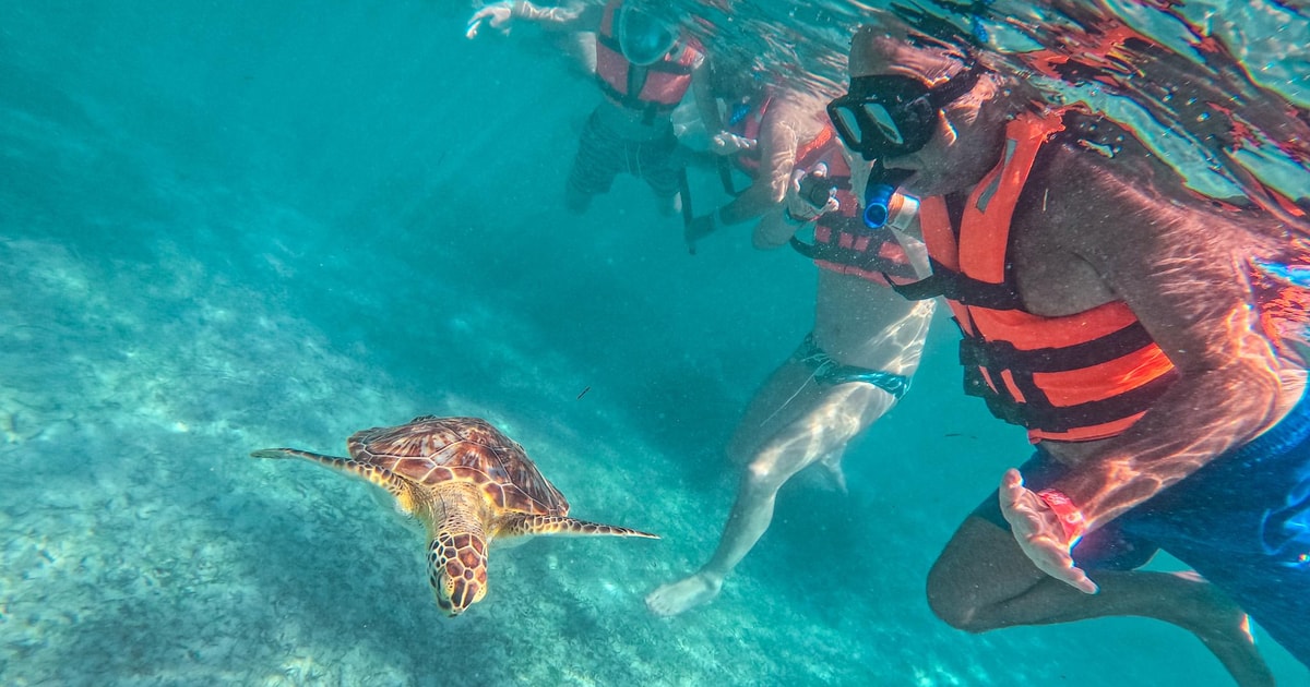 Cancun: Tulum Ruins, Akumal Turtles, Cenote & Caves Tour | GetYourGuide