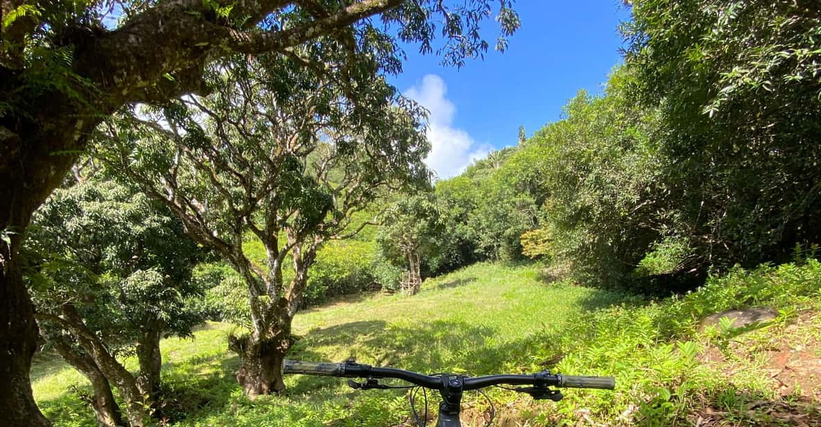 Chamouny: Ein einzigartiges Raderlebnis in einem privaten Naturgebiet ...