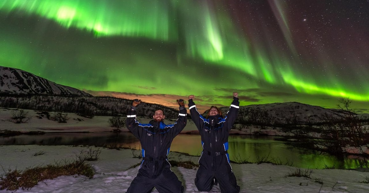 Tromsø: Big Bus Northern Lights Tour with Free Photos | GetYourGuide