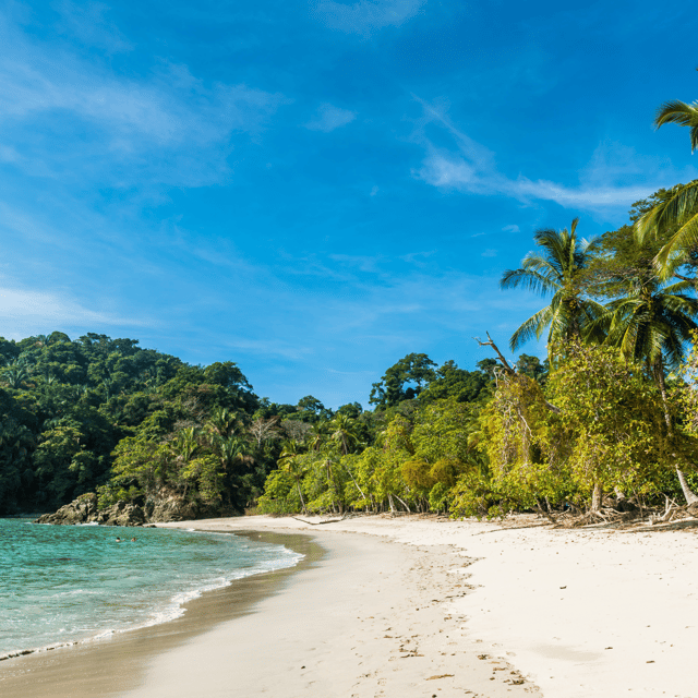 Excursión de un día al Parque Nacional de Manuel Antonio | GetYourGuide