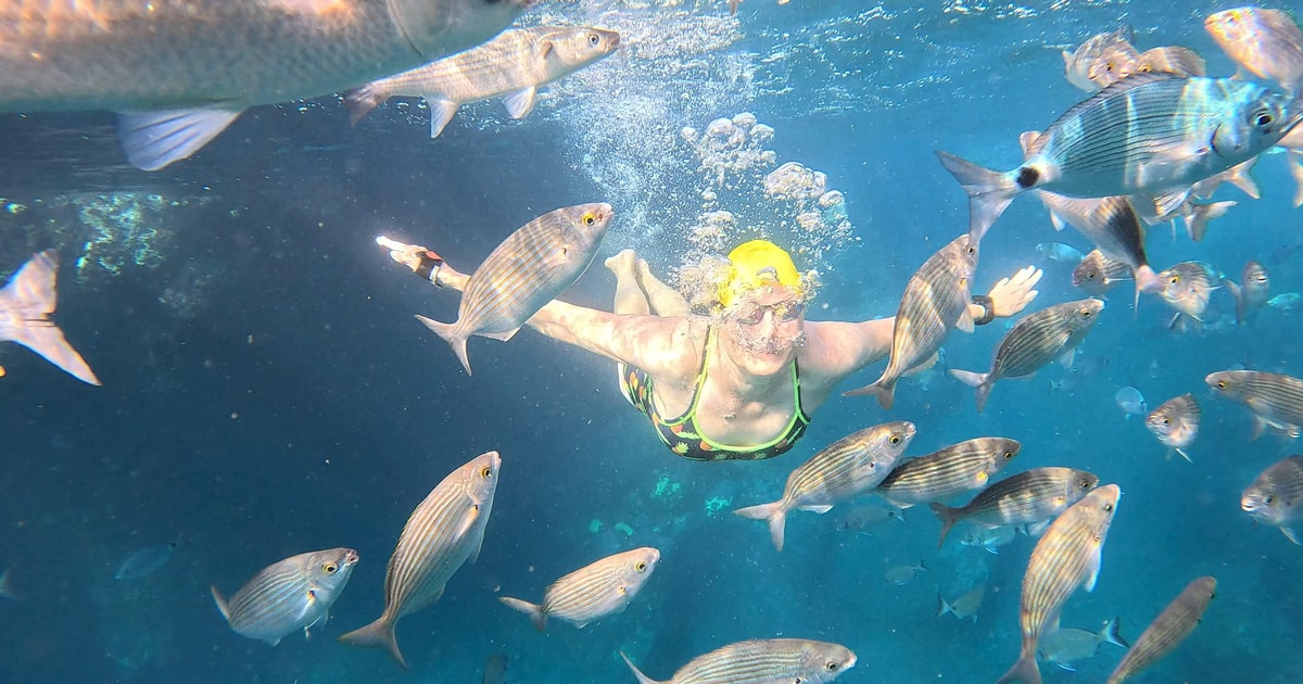 Madeira: Garajau Nature Reserve Swim Tour | GetYourGuide