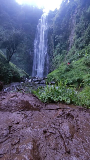Moshi: A Day Tour To Materuni Waterfall | GetYourGuide