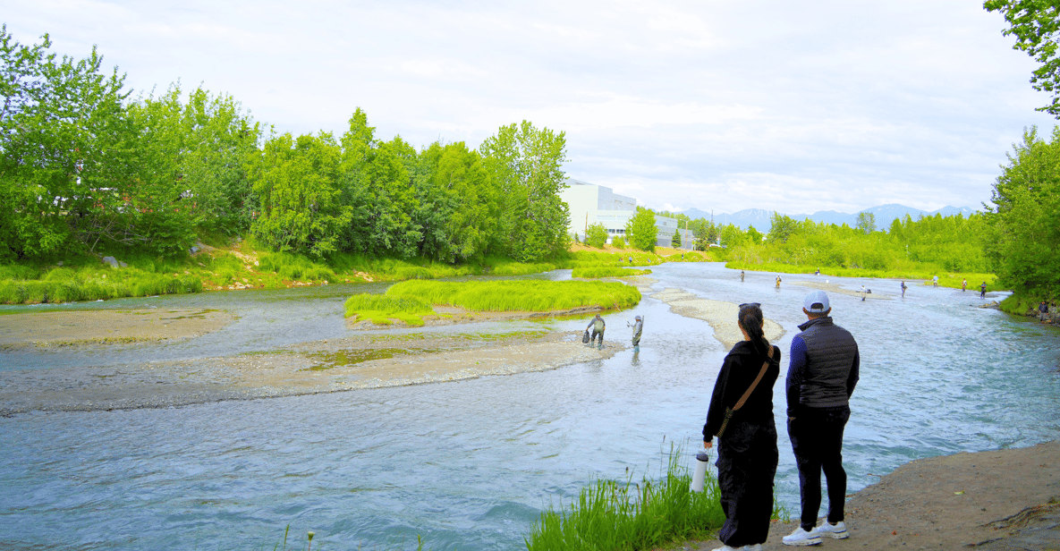 Anchorage Salmon Adventure= Hatchery+Ship Creek+ View Salmon | GetYourGuide