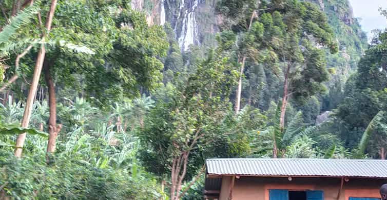 Wanale hill hike | GetYourGuide