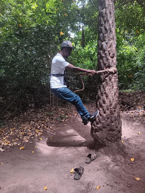 Makasutu Cultural Forest | GetYourGuide