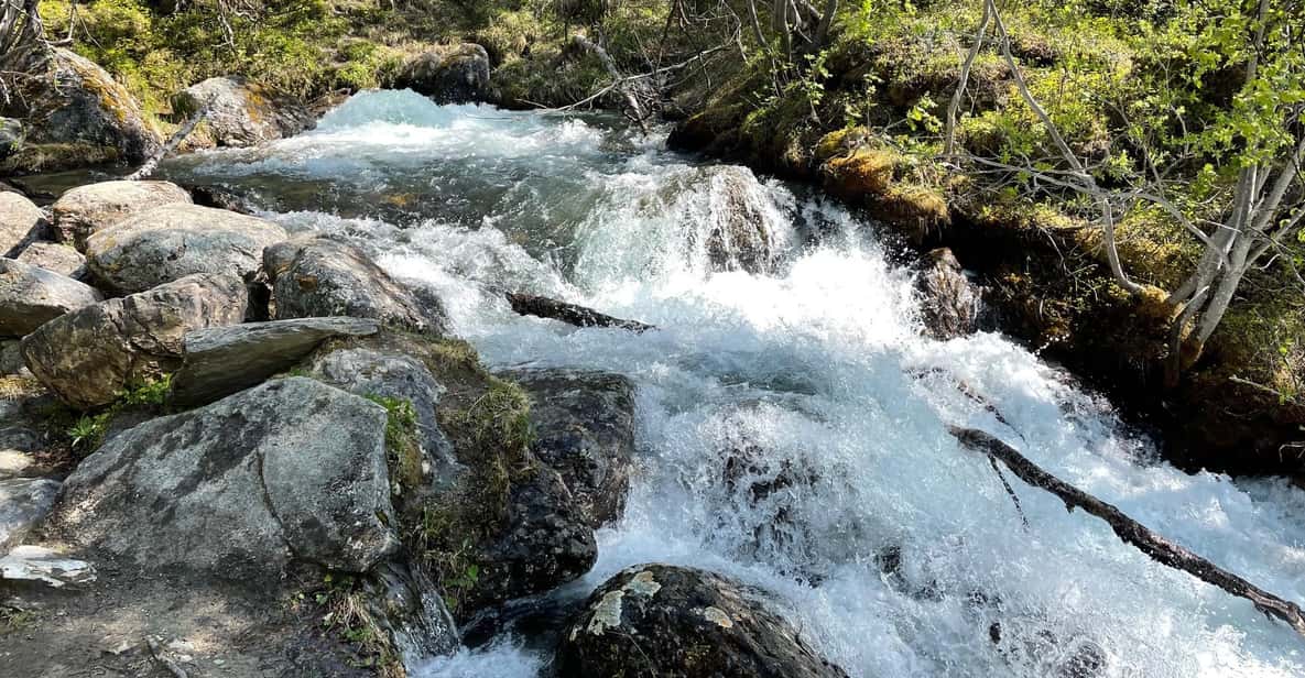 Visit Bubbelen, river comes out of the ground. | GetYourGuide