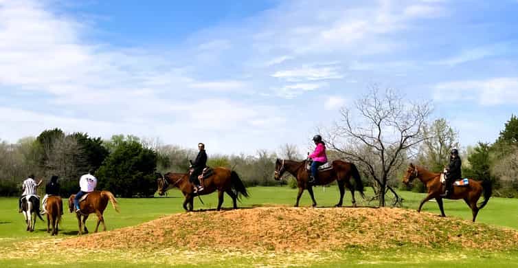 Dallas: Horseback Trail Riding Tour | GetYourGuide