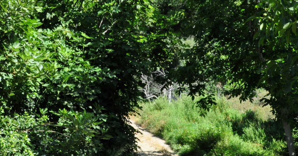 Heraklion: Full Day to Rihti Waterfalls, Mochlos, Azoria | GetYourGuide