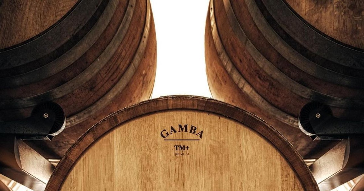 Experiencia enológica en una bodega ecológica de Chianti | GetYourGuide