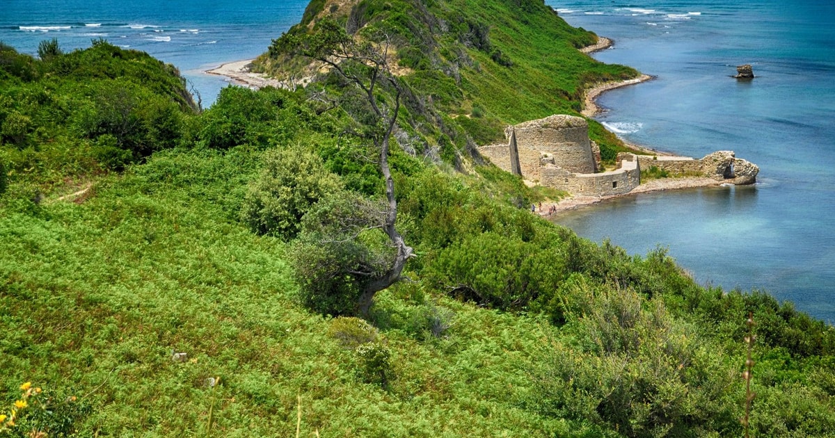 Day Tour to Cape of Rodon with Wine Tasting Experience | GetYourGuide