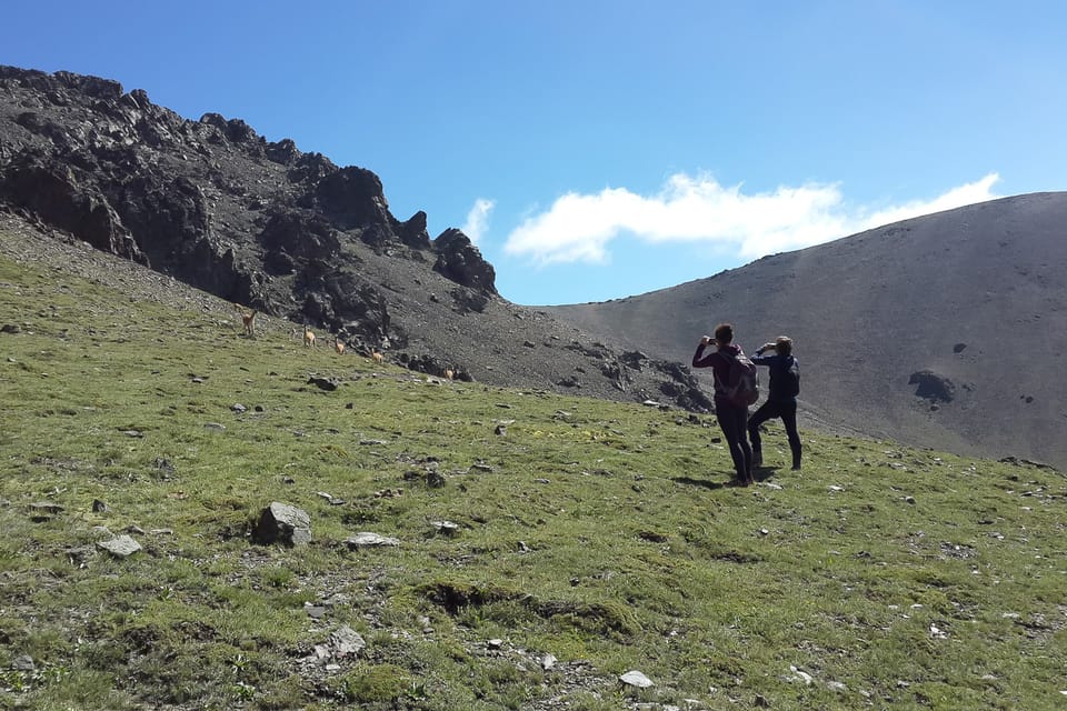 Cordón del Plata: excursión de 1 día desde Mendoza | GetYourGuide