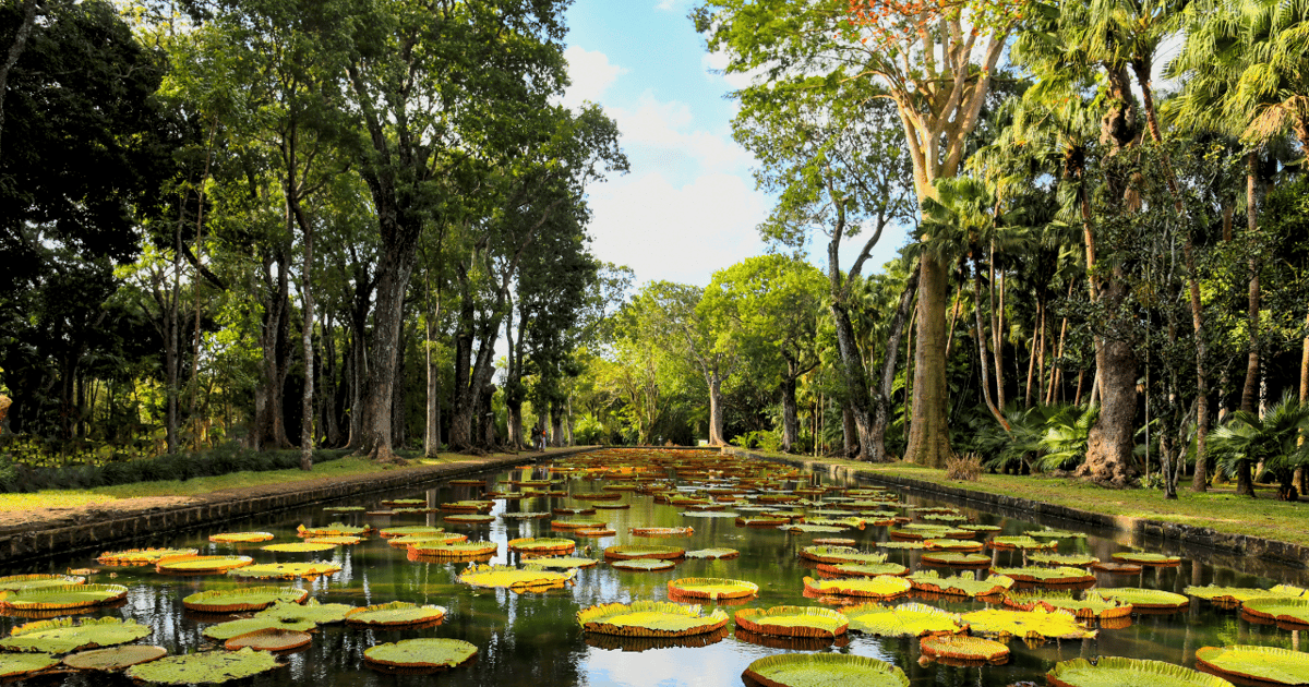 Mauricio: Paseo por la ciudad, cultura, historia y comida callejera ...
