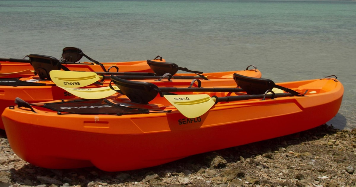 Around Doha : Mangrove kayaking Tours & skyline sightseeing | GetYourGuide