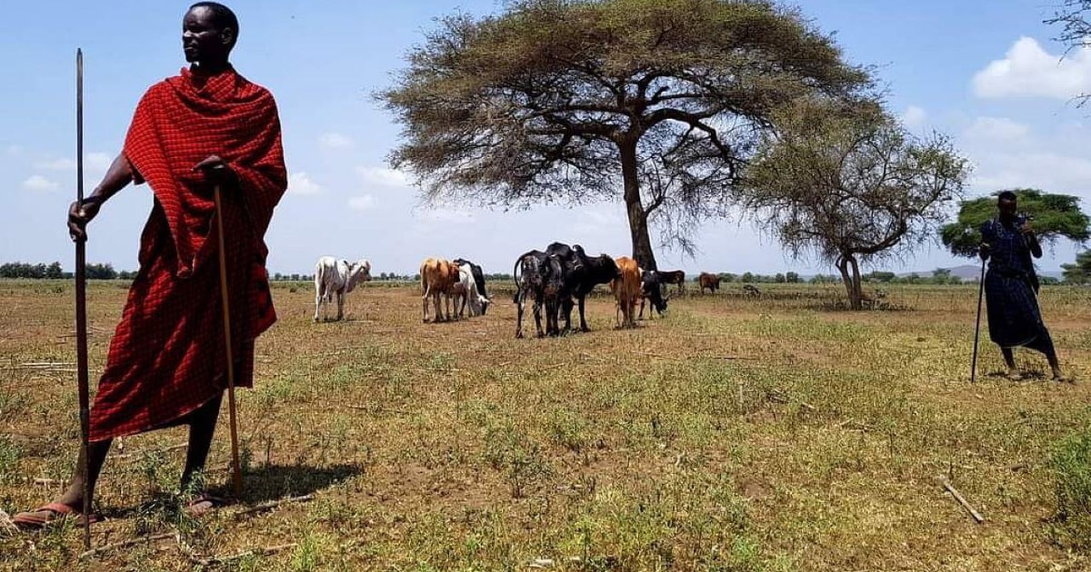 Nairobi: Masai Village Cultural Experience Day Tour. | GetYourGuide