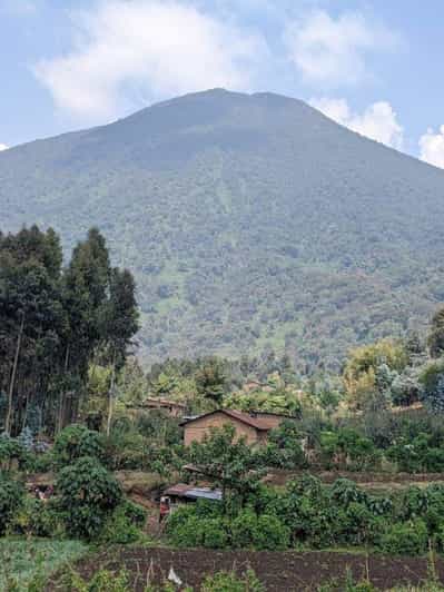 Excursión al Monte Bisoke en el Parque Nacional de los Volcanes ...