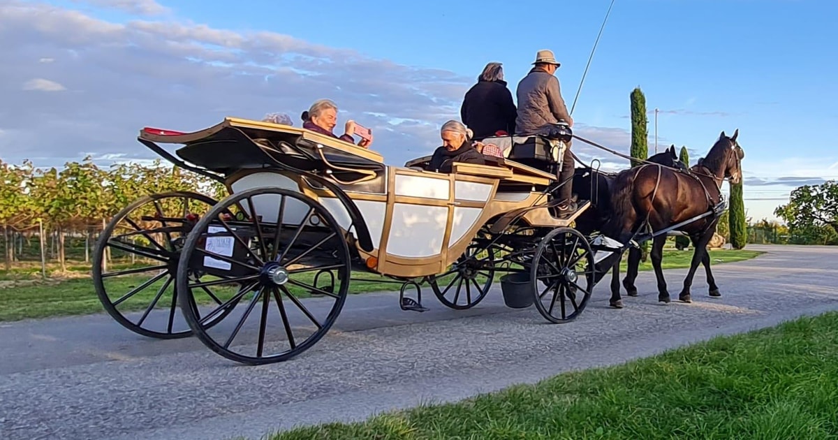 Carrozza di porcellana della Wachau Un emozionante giro in carrozza tra ...