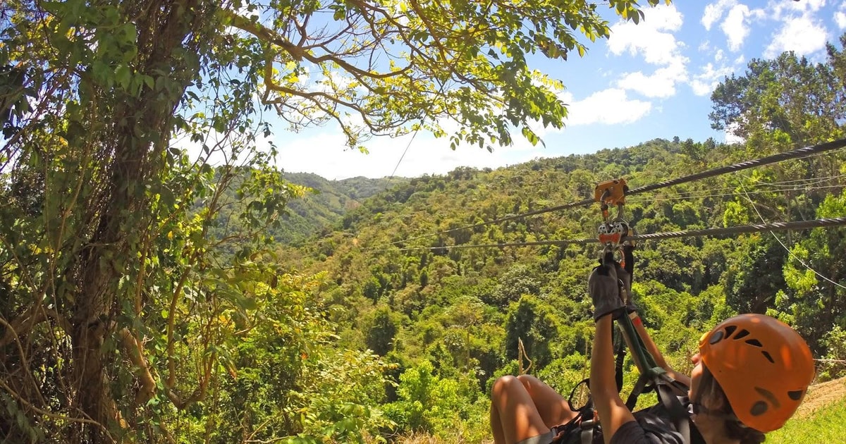 Tour di mezza giornata di Punta Cana con la Zip Line | GetYourGuide