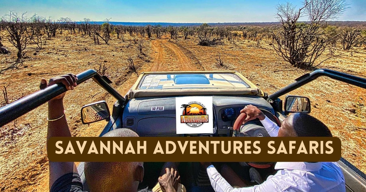 Cataratas Vitória: Safári em 4x4 Savannah Adventures | GetYourGuide