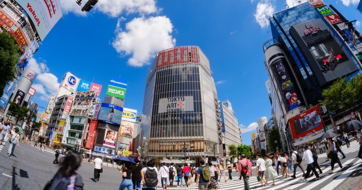 Tokio: tour a pie por Shinjuku y Shibuya – Puntos destacados de la ...