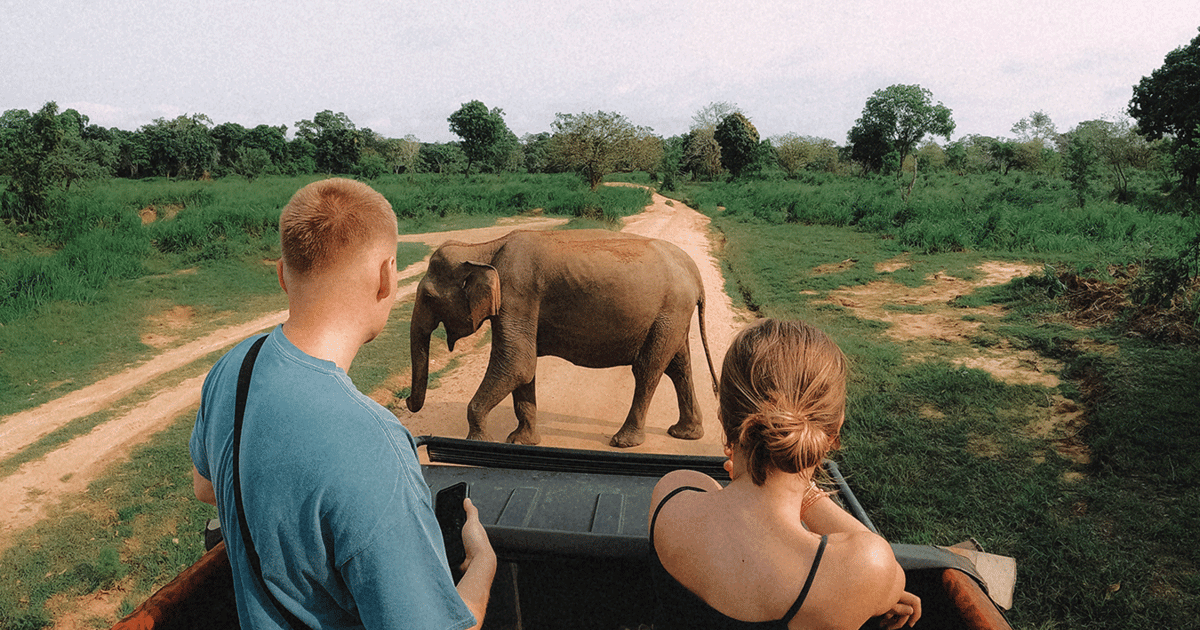 Habarana: Hurulu Eco Park Half Day Safari with Hotel Pickup | GetYourGuide