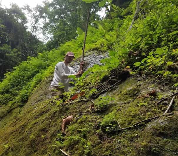 Arusha: Napuru waterfalls tour | GetYourGuide
