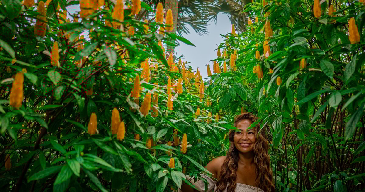 Utforsk høylandet i Cebu med en fotograf | GetYourGuide