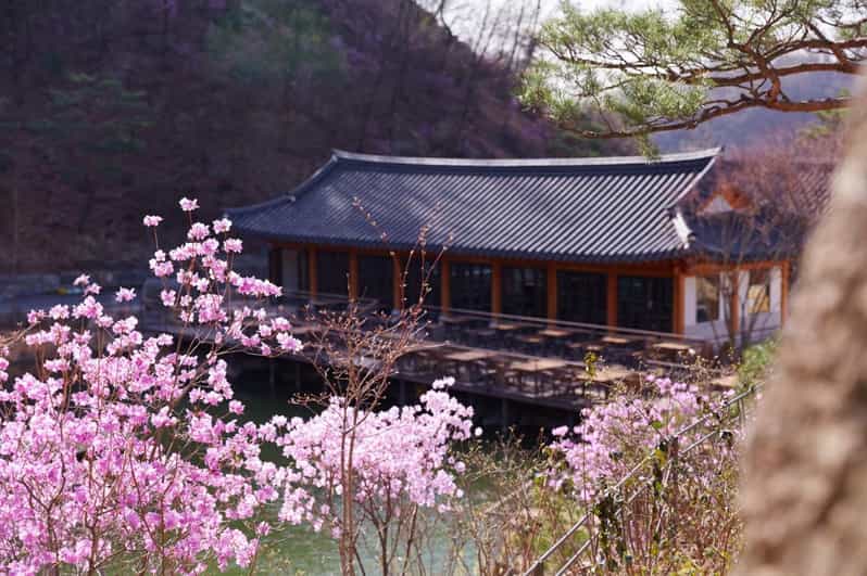 Seoul: Hwadam Botanic Garden & Nami Island Flowers Day Tour | GetYourGuide