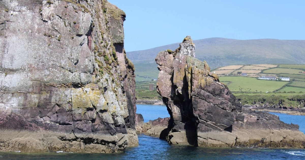 Dingle: Dingle Bay Cliffs Boat Tour with Guide (1 Hour) | GetYourGuide
