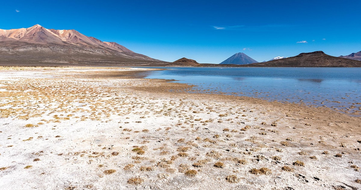 Arequipa: Tour della Laguna de Salinas Prezzo dell'offerta | GetYourGuide