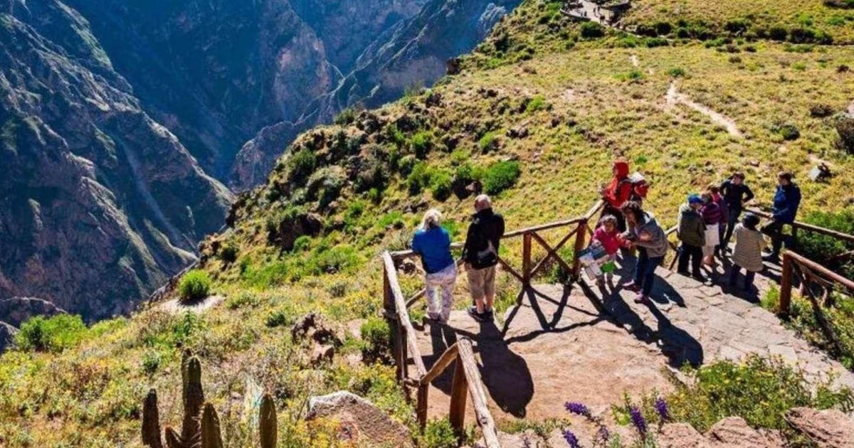Escursione di un giorno nel Canyon del Colca + trasferimento a Puno con ...