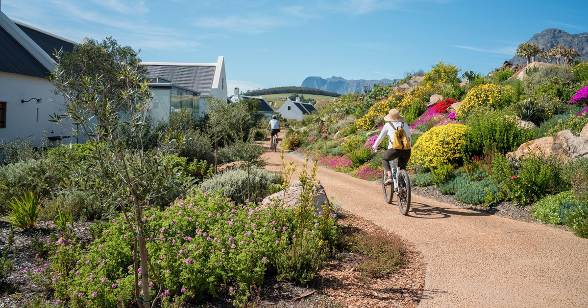 Cape Town: Cape Winelands and Vineyard Tour with Guide | GetYourGuide