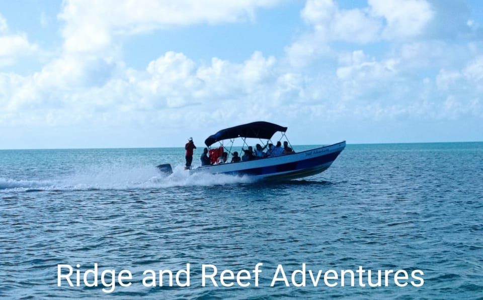 Day of Snorkeling Hol Chan, Shark Ray Alley, Manatees & More | GetYourGuide