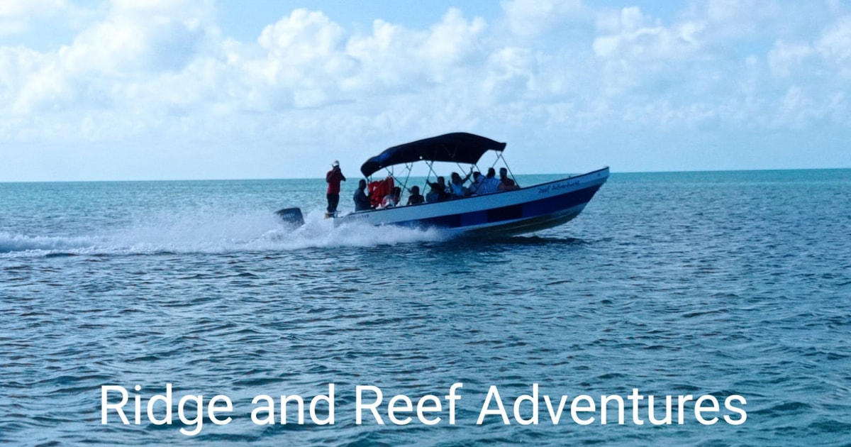 Dag snorkelen Hol Chan, Shark Ray Alley, zeekoeien en meer | GetYourGuide