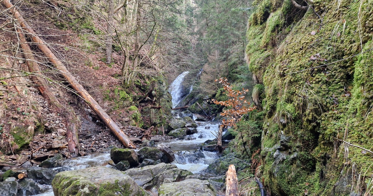 Black Forest: Ravenna Gorge Hiking Tour | GetYourGuide