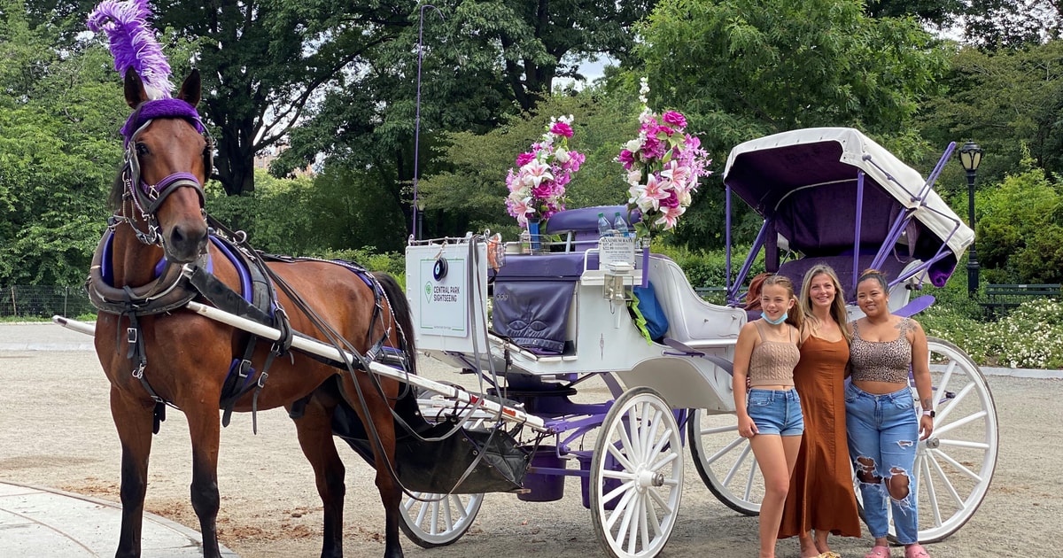 NYC: Guidade turer med häst och vagn i Central Park | GetYourGuide