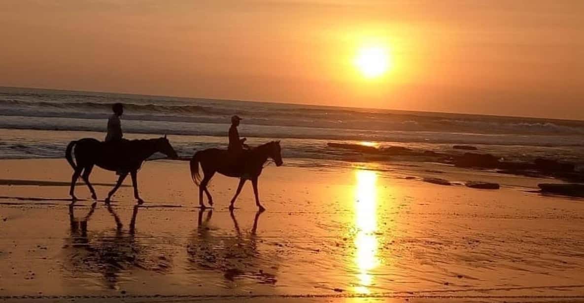 Bali: Horse Riding on the Beach and Rice field Tour | GetYourGuide
