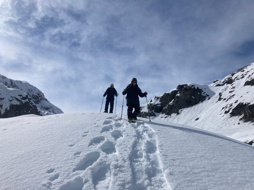 Guided Snowshoeing Adventure from Seward, Alaska | GetYourGuide